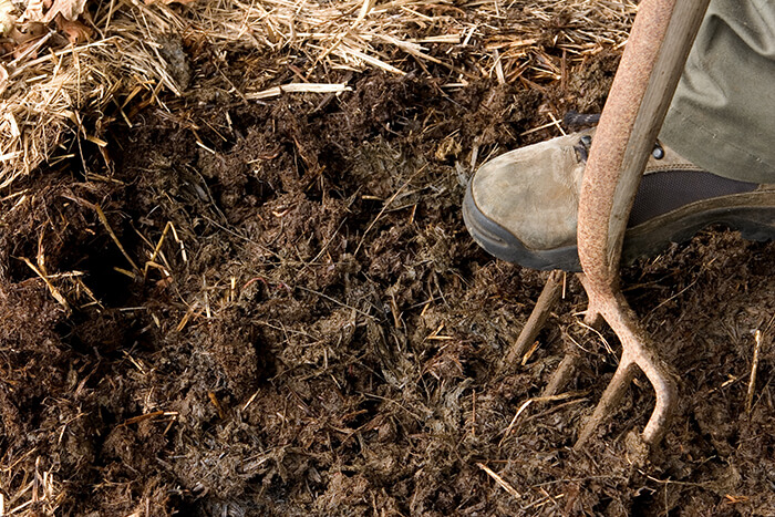 Composting - What Is It And How Does It Work? | WasteSorted